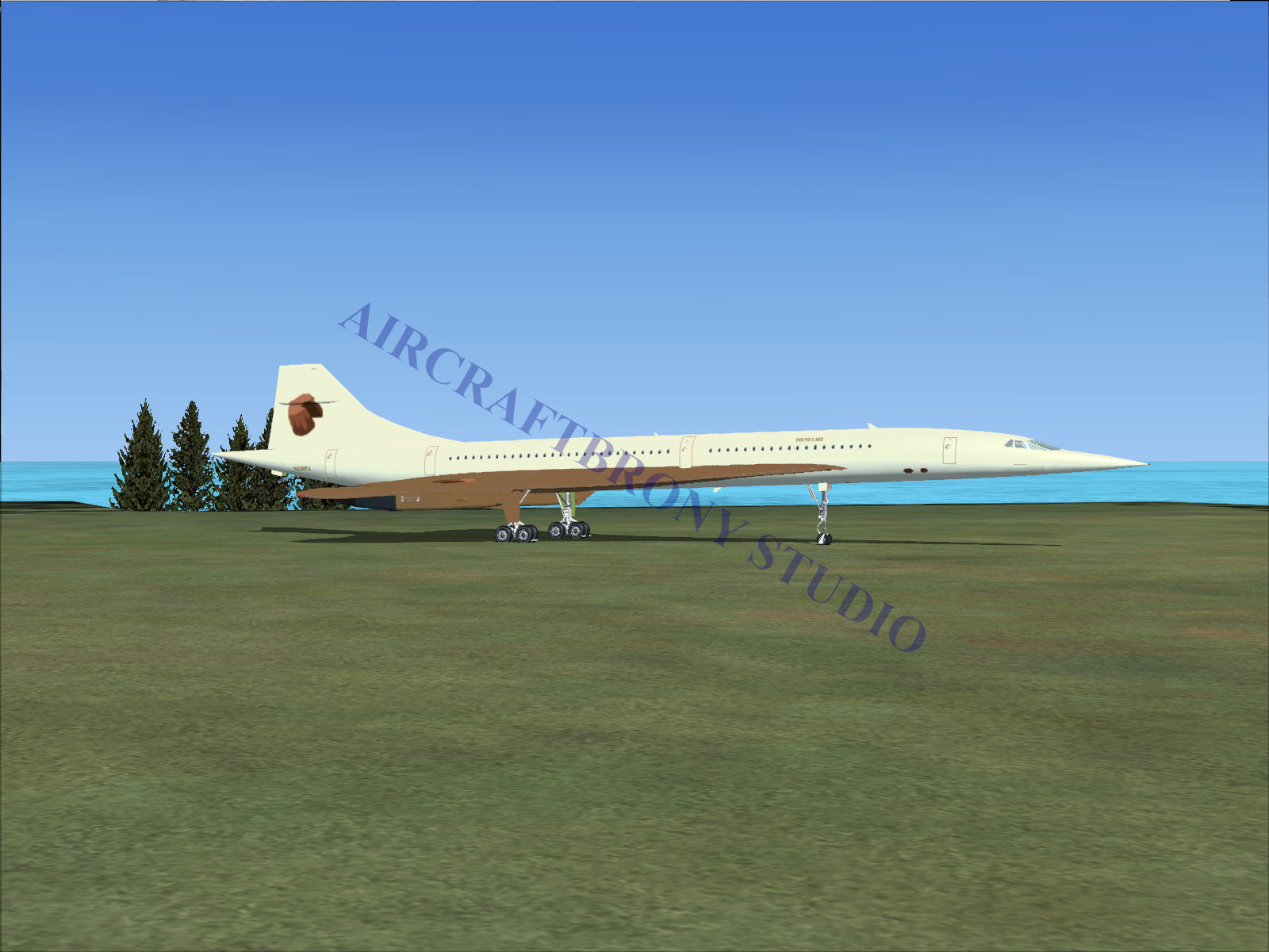 Pound Cake Aerospatiale Concorde (Digital Image) – Aircraftbrony Studio